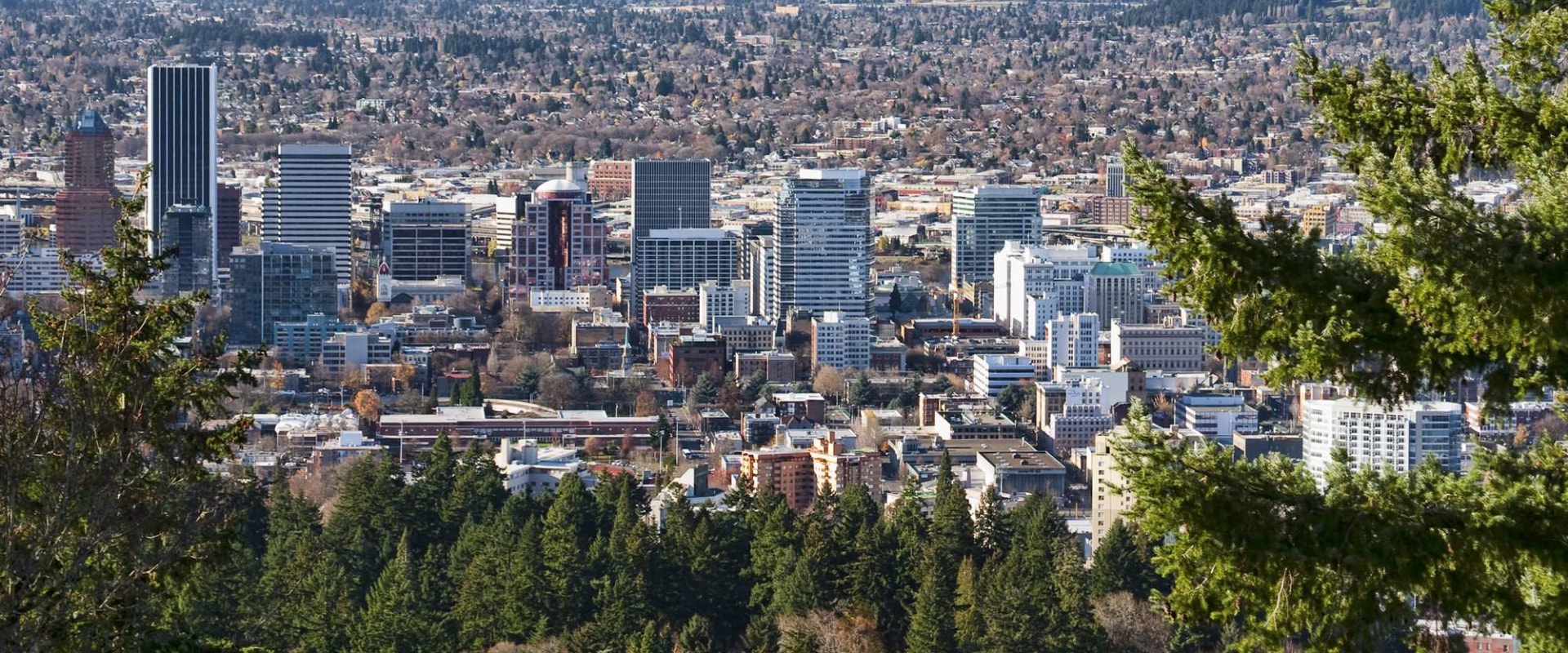 Discovering the Vibrant and Diverse Neighborhoods of Multnomah County ...