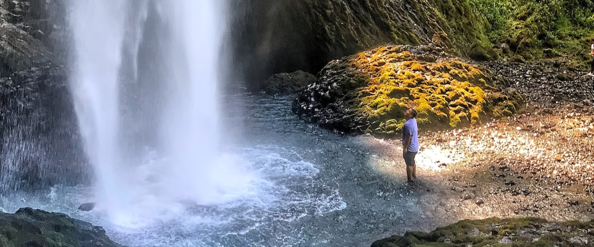 Exploring the Unique and Quirky Neighborhoods of Multnomah County, Oregon